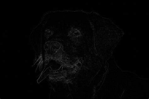 Edge Detection With Laplacian Operator Without Using Opencv Laplacian