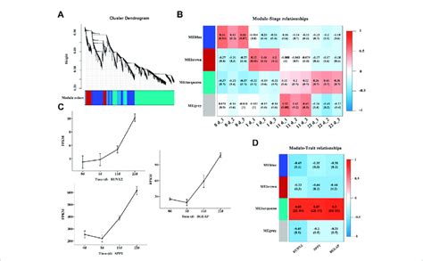 identification of modules associated with osteogenic differentiation in
