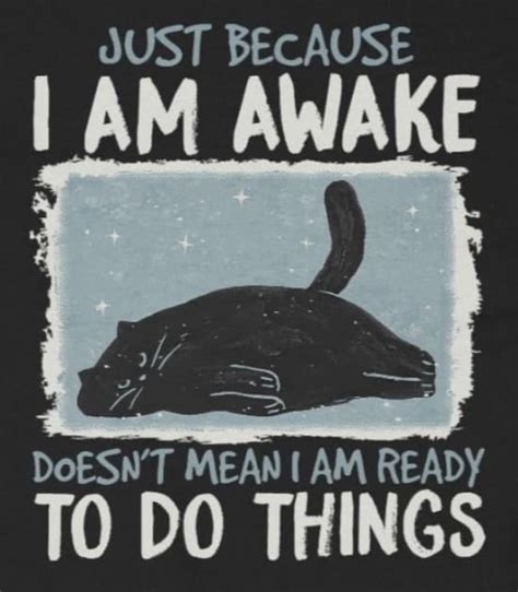 Pinterest Cat Quotes Cute Cats Funny Cats