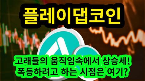플레이댑코인전망플레이댑코인분석플레이댑코인정보 플레이댑 코인 고래들의 움직임속에서 상승세 폭등하려고 하는 시점은 여기