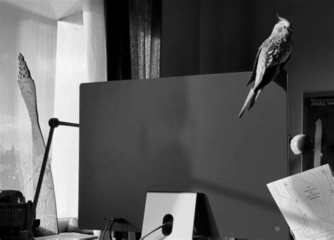 Вакансия в благотворительном фонде в Москве удалённая работа с