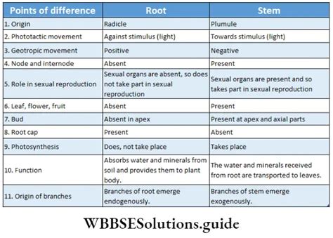 Plant Stem Structure And Functions Notes Wbbse Solutions