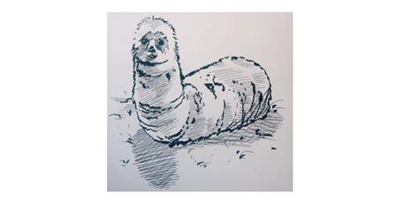 GitHub Nvuillam Nvuillam GitHub Homepage For Nicolas Vuillamy