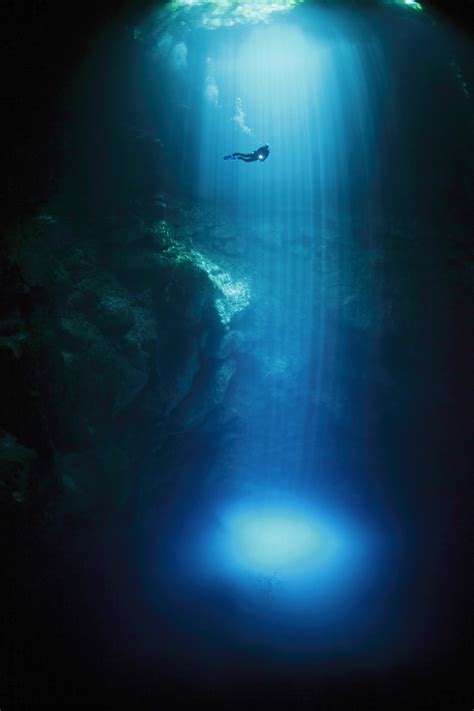 Cenote The Pit Cenote Adventures Grottentauchen In Mexiko