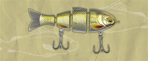 Best Lures For White Bass In 2024 Findyourfish