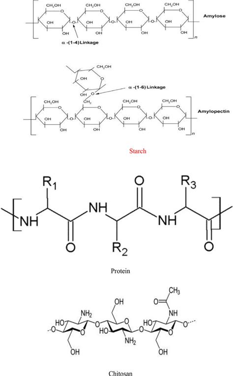 Protein Diagram Polymer