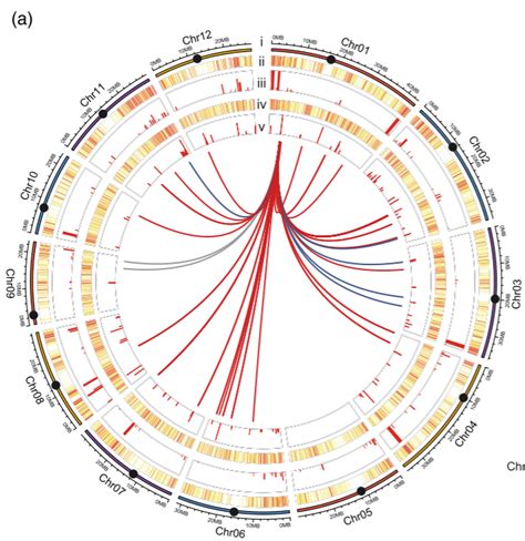文献阅读笔记丨基于群体转录组分析基因调控机制 Csdn博客
