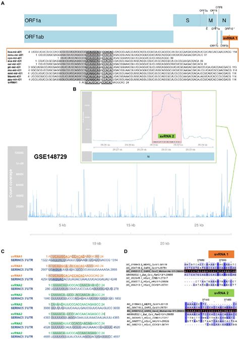 In Silico Prediction Of Sars Cov 2 Svrnas Interacting With Serinc5 Download Scientific Diagram