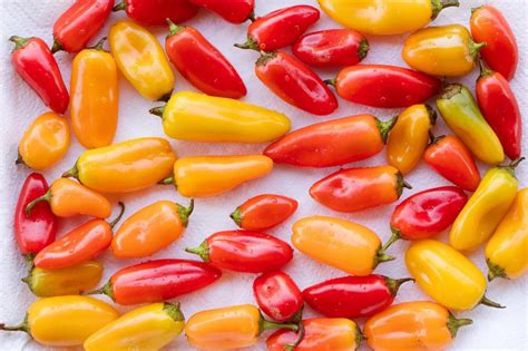 19 Mini Sweet Peppers Nutrition Facts