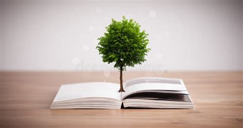 Tree Growing From An Open Book Stock Image Image Of Field Magic 70868783