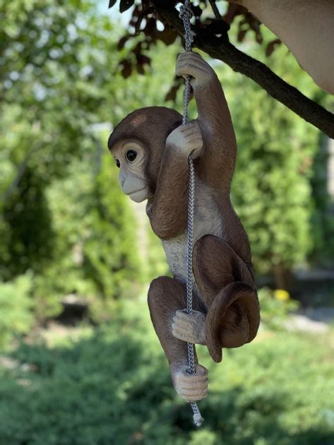 Садова фігура із полістоуна ДомФігурок Мавпа на мотузці купити онлайн на Rozetka