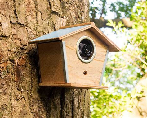 How To Hide An Outdoor Camera Storables