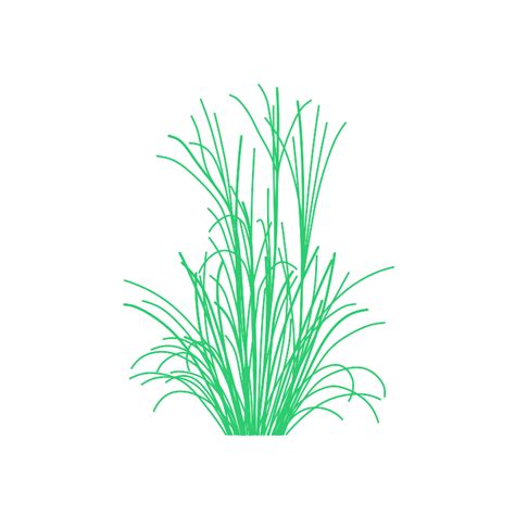 Grass Drawing