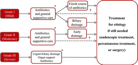 Tokyo Guidelines 2018 Initial Management Of Acute Biliary Infection And Flowchart For Acute