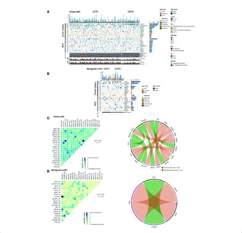 A Oncoplot Showing Mutated Driver Genes Rows Across Subjects