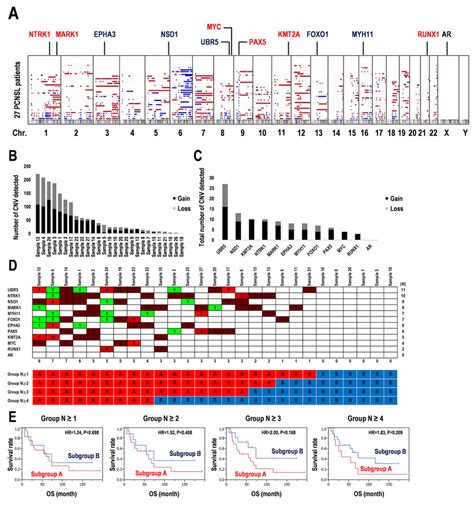 Copy Number Variations Detected In 12 Prognostic Marker Candidates In