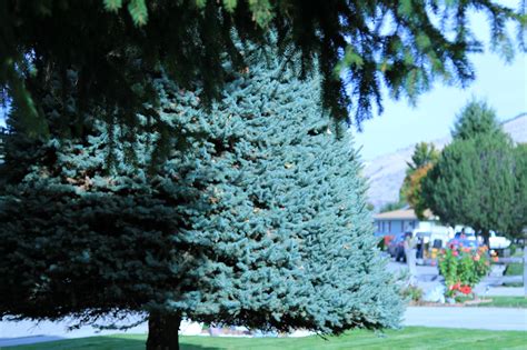 Affinity Vs Contrast Album On Imgur