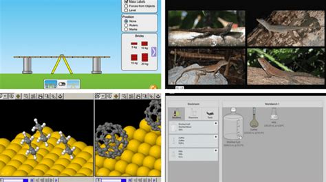 Best Virtual Lab Activities For The Classroom WeAreTeachers