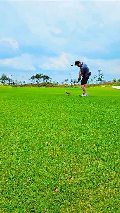 숏아이언샷 너무 빠르거나 강하면 미스샷이 더 많아집니다 바람이 마니 불던 날 Youtube