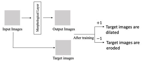 The Flow Chart Of Detecting Morphological Operations By A Single Download Scientific Diagram