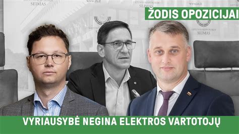 Valius Ąžuolas Vyriausybė Negina Elektros Vartotojų Youtube