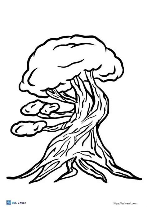 23 Free Tree Outline Templates PDF ESL Vault 23 Free Tree Outline Templates PDF ESL Vault