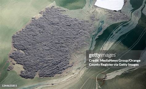 Leonard Marsh Photos And Premium High Res Pictures Getty Images