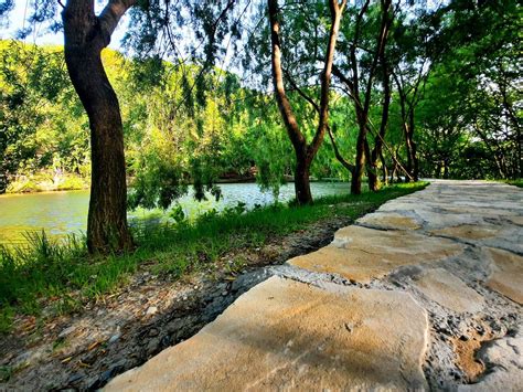 საპიკნიკე მამკოდა Added A New Photo საპიკნიკე მამკოდა