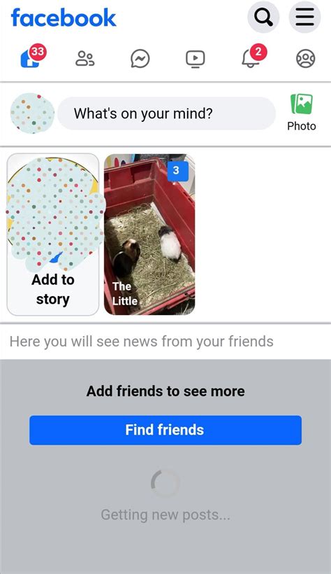 Facebook Page Feed Not Loading Despite New Alerts Only Since Yesterday