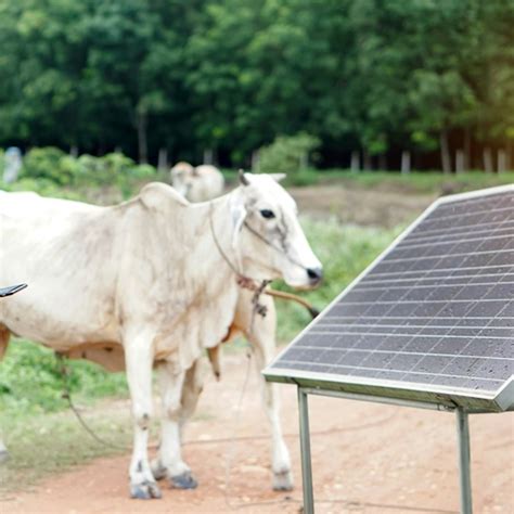 Digital Systems And Data Representations Unit Science And Au