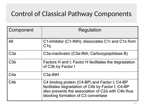 Complement System Activation Of Immune System Ppt
