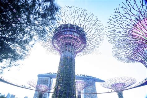 Light Show At Marina Bay Garden Singapore Editorial Photography
