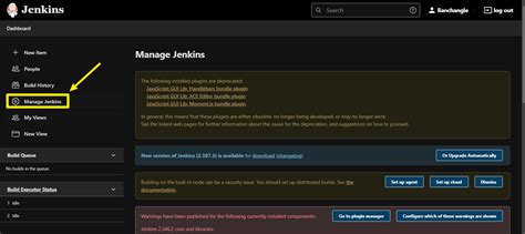 【jenkins】教你jenkins设置为中文jenkins 中文插件 Csdn博客
