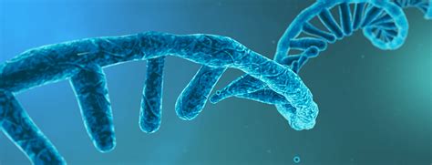 Complete Guide To Understanding Single Cell RNA Seq
