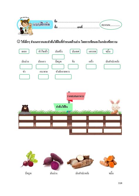 วิทย์ใบงาน ป 4 เทอม 1 หลักสูตรใหม่ Krujah Hayeekaleng หน้าหนังสือ 114 พลิก Pdf ออนไลน์