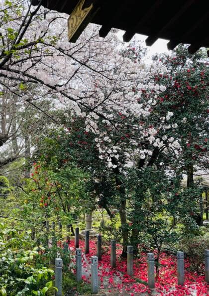 曼荼羅美術館観蔵院 Sonoligo