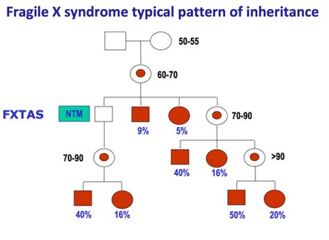 Tbl 9 2 Diseases Caused By Expansion Of Trinucleotide Repeats Quizlet