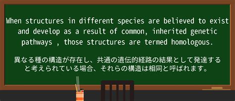 【英単語】genetic Pathwaysを徹底解説！意味、使い方、例文、読み方