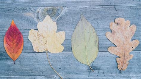 Point Out The Errors If Any In The Following Programs Garbage Value