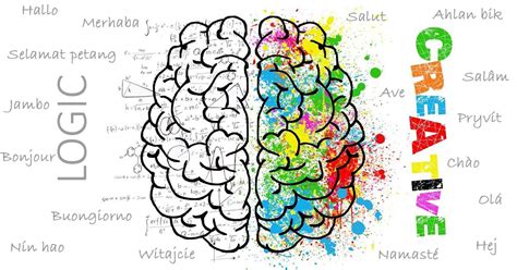 Brain Benefits Of Learning A New Language