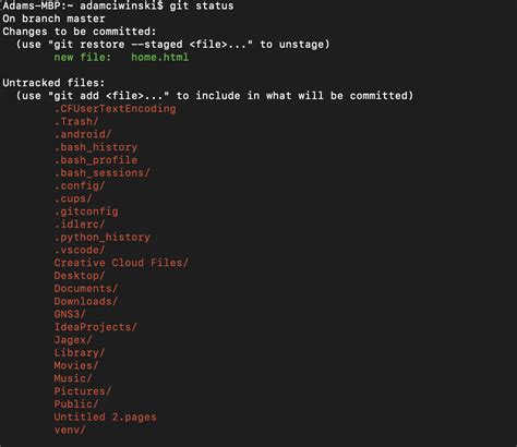 Macos Files Created By Terminal Are Not Visible In My Finder Ask Different
