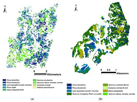 Forests Free Full Text Deepening The Accuracy Of Tree Species Classification A Deep