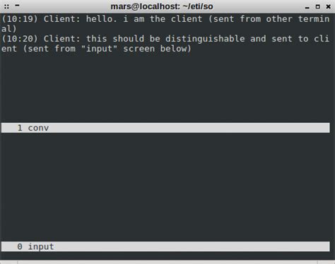 Linux How To Send Message Both To Netcat And Other Script Super User