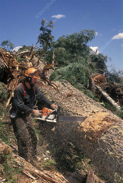 Logging Stock Image E Science Photo Library