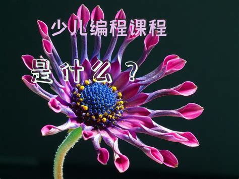 如何用scratch编写植物大战僵尸 大红花少儿编程