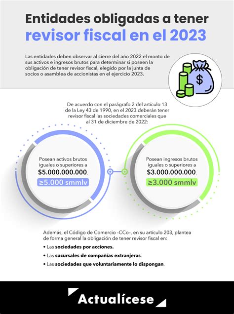 Revisoría Fiscal En Colombia Actualícese