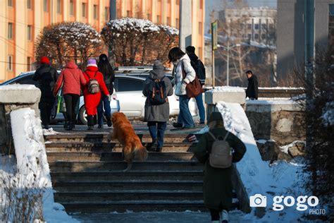 ФОТО Гантиган замд резинэн ултай гутал оцон шувуу алхалт ч нэмэр болохгүй нь
