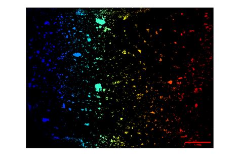 Matlab Extracting Contents And Calculating Area Within An Image