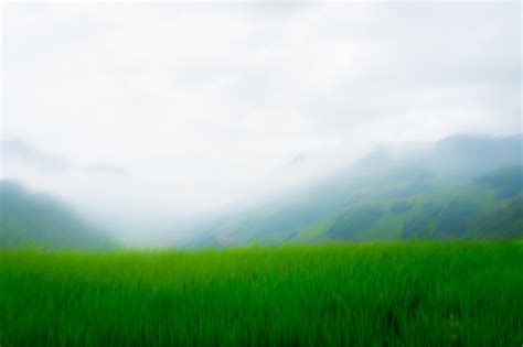 무료 이미지 수평선 구름 하늘 들 목초지 대초원 햇빛 아침 녹색 목장 농업 평원 서식지 농촌 지역 논 자연 환 경 대기 현상 잔디 가족