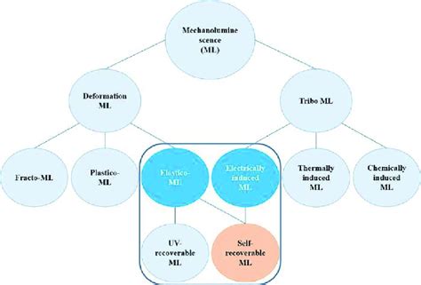 7 Ml Can Be Divided Into Two Categories Deformation Ml And Tribo Ml Download Scientific